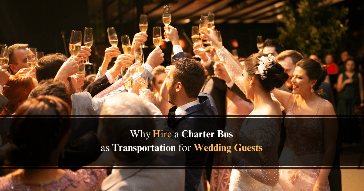 Transportation for Wedding Guests: Why Hire a Charter Bus